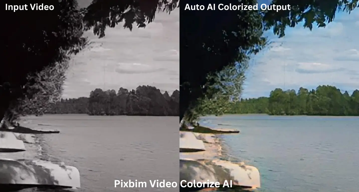 Transform Vintage Black and White Videos with Ease: Automatic Video ...